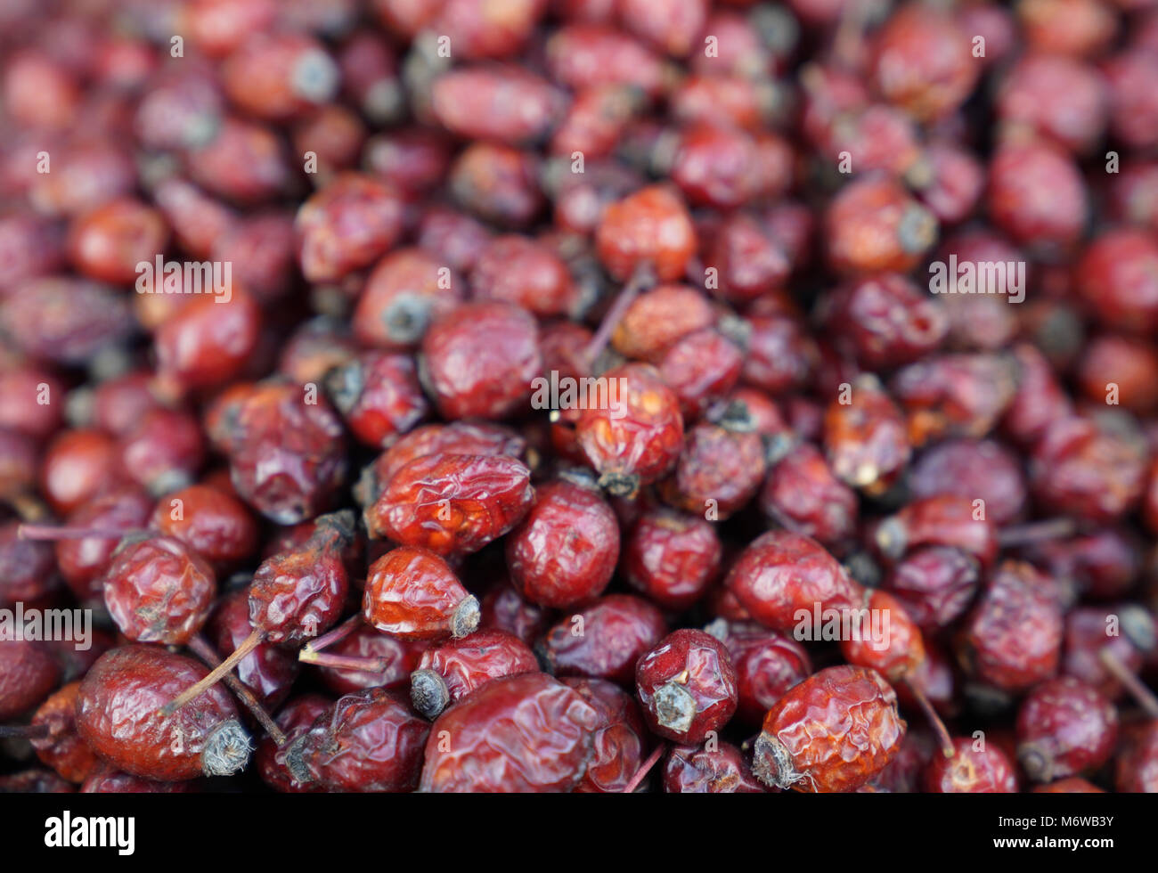 Dried dog rose rosa canina berries in an oriental bazaar Stock Photo ...