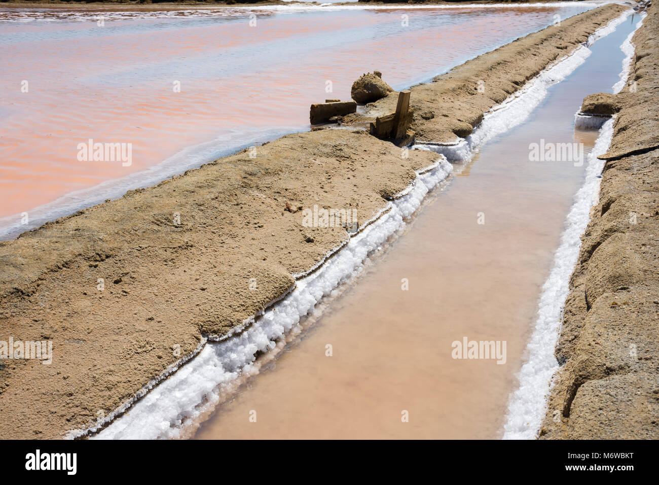salt at saltworks of Trapani in Sicily in Italy Stock Photo - Alamy