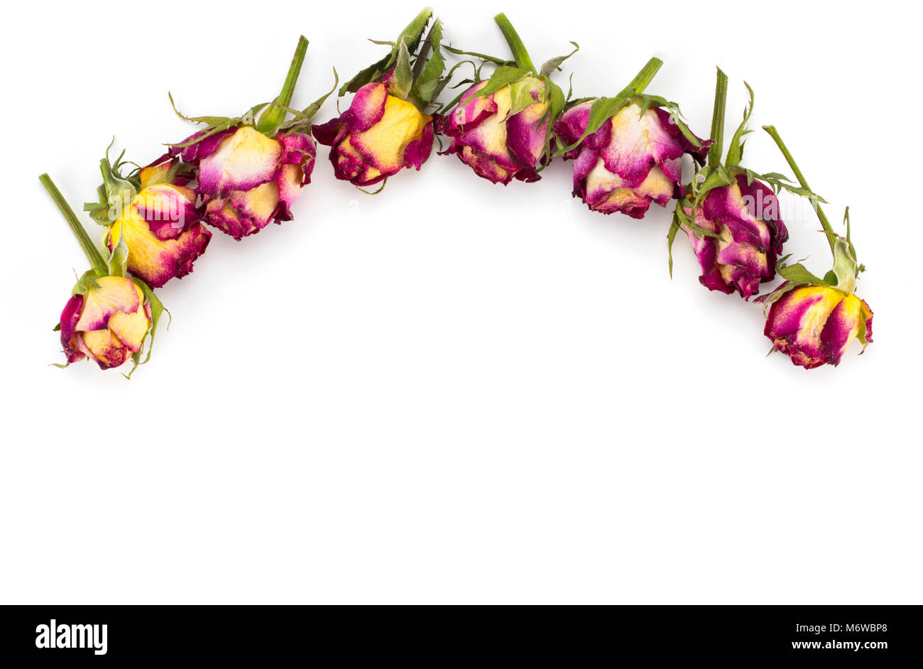 Floral pattern made of red and yellow roses, green leaves, branches on ...