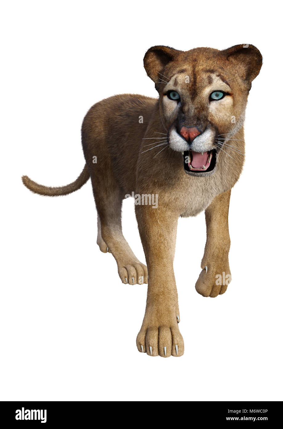 3D rendering of a big cat puma isolated on white background Stock Photo ...