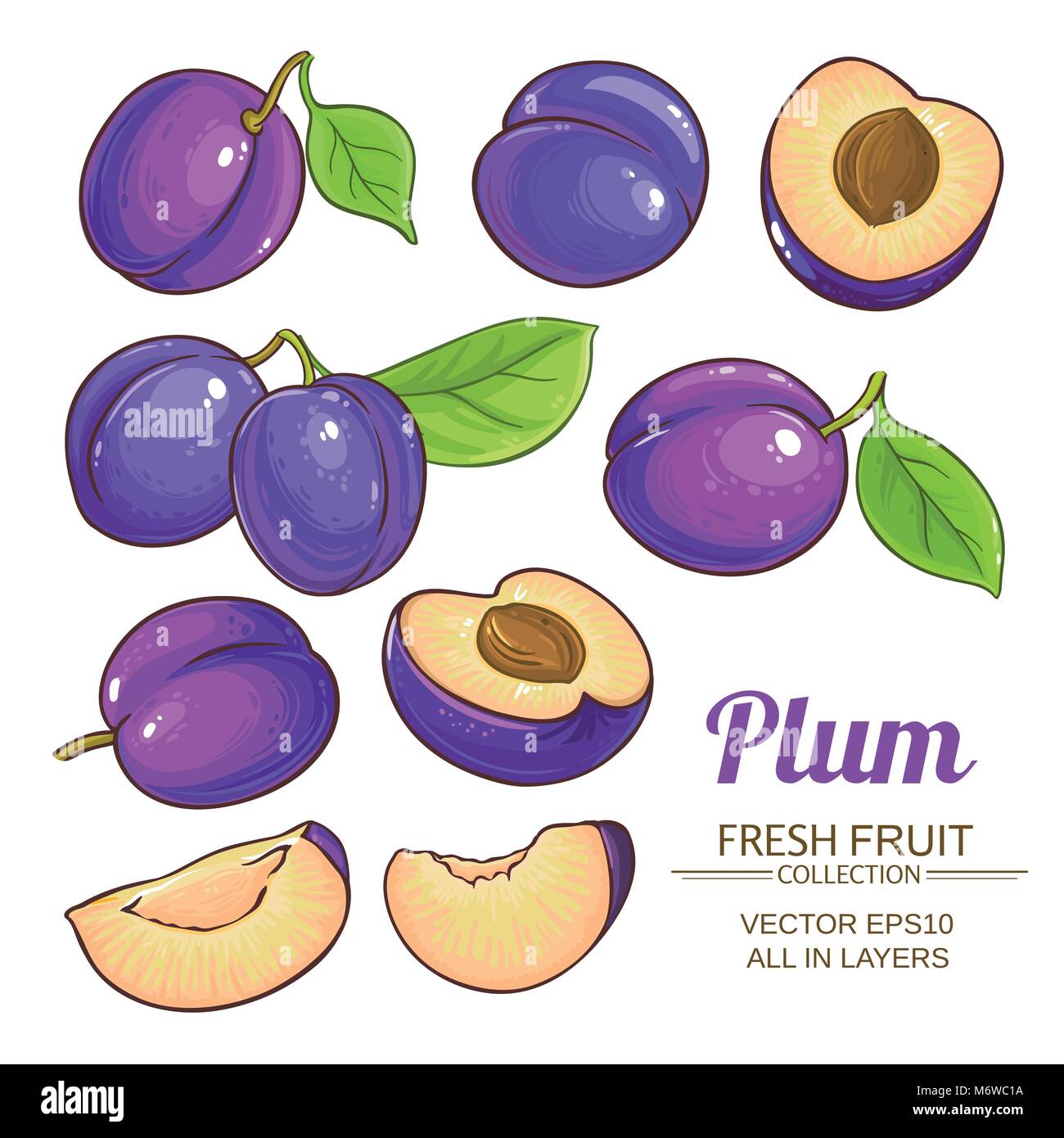 Ripe blue plum fruits Stock Vector Images - Alamy