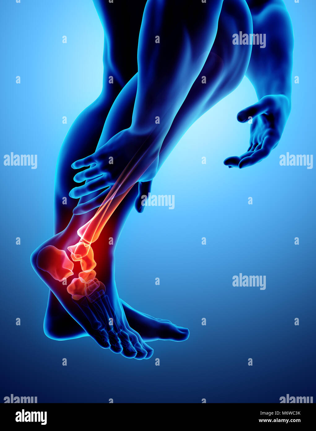 Ankle painful skeleton x ray 3d hi-res stock photography and images - Alamy