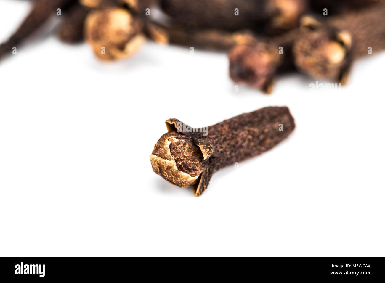 dry clove isolate on white background, close-up Stock Photo - Alamy