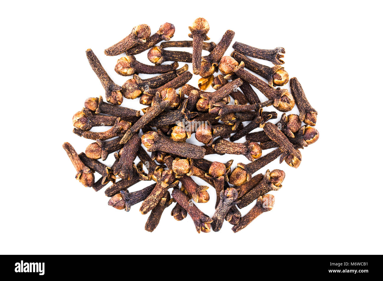 clove spices isolated on white background, close-up Stock Photo - Alamy