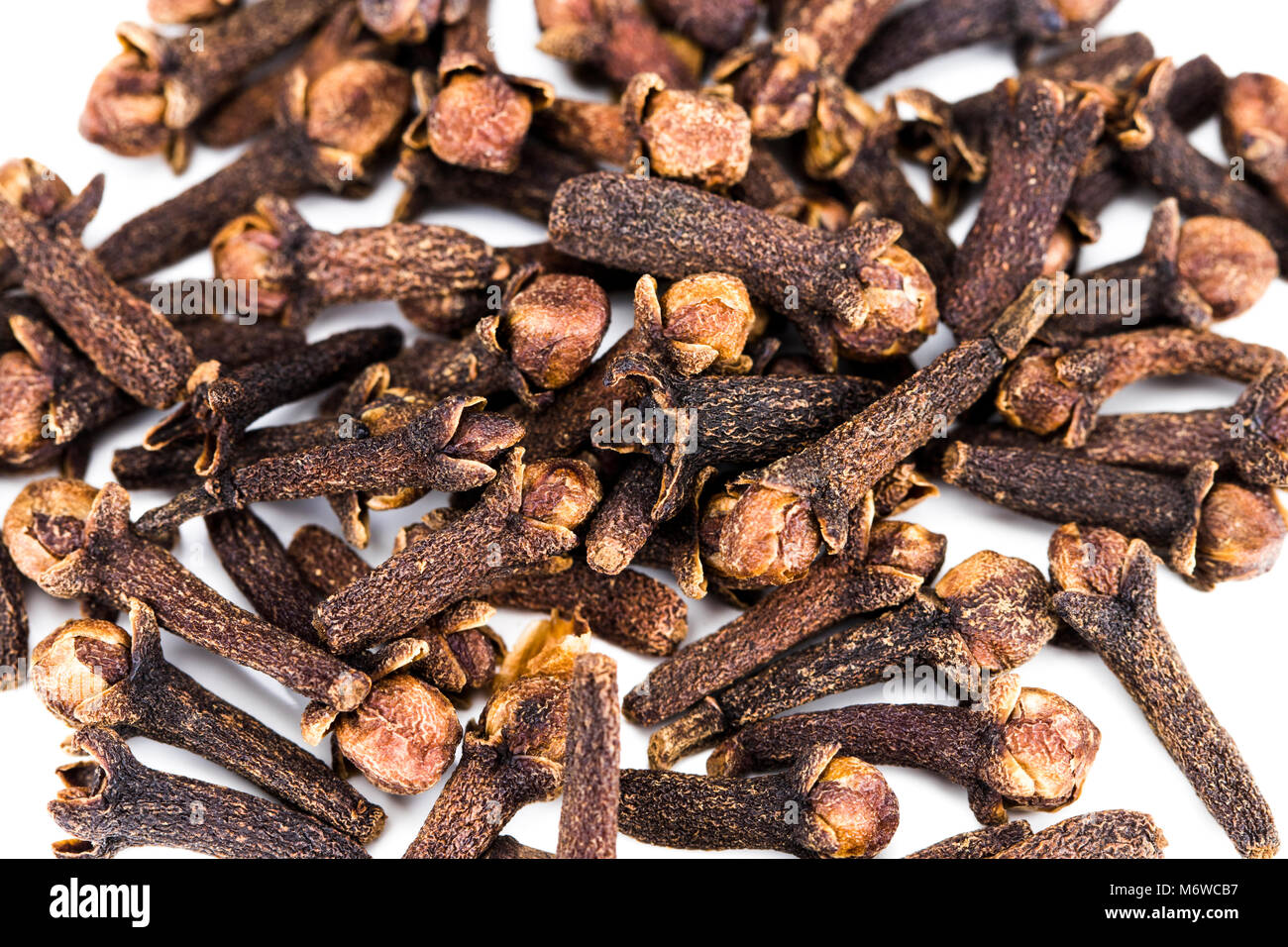 clove spices isolated on white background, close-up Stock Photo - Alamy