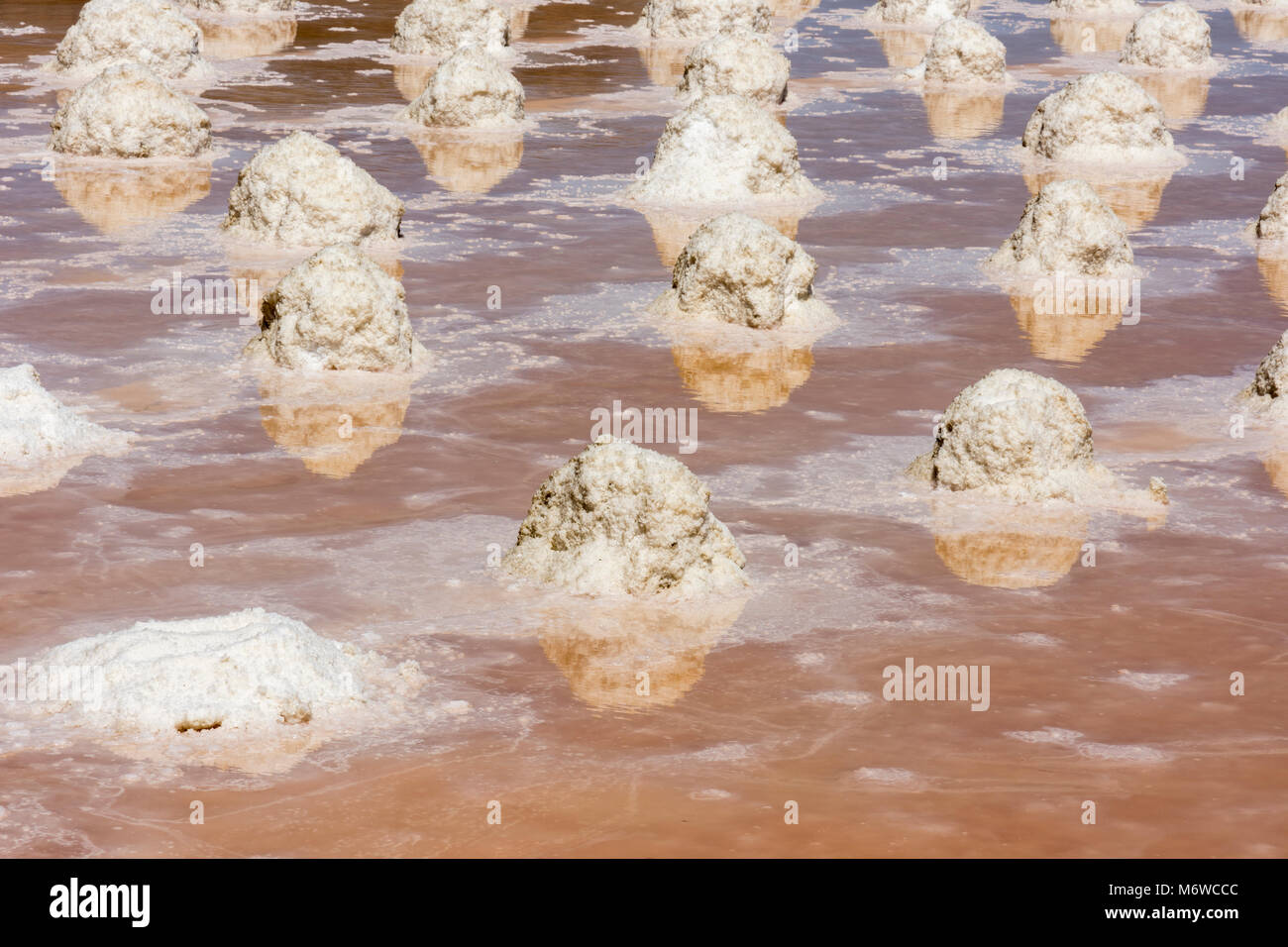 salt at saltworks of Trapani in Sicily in Italy Stock Photo - Alamy