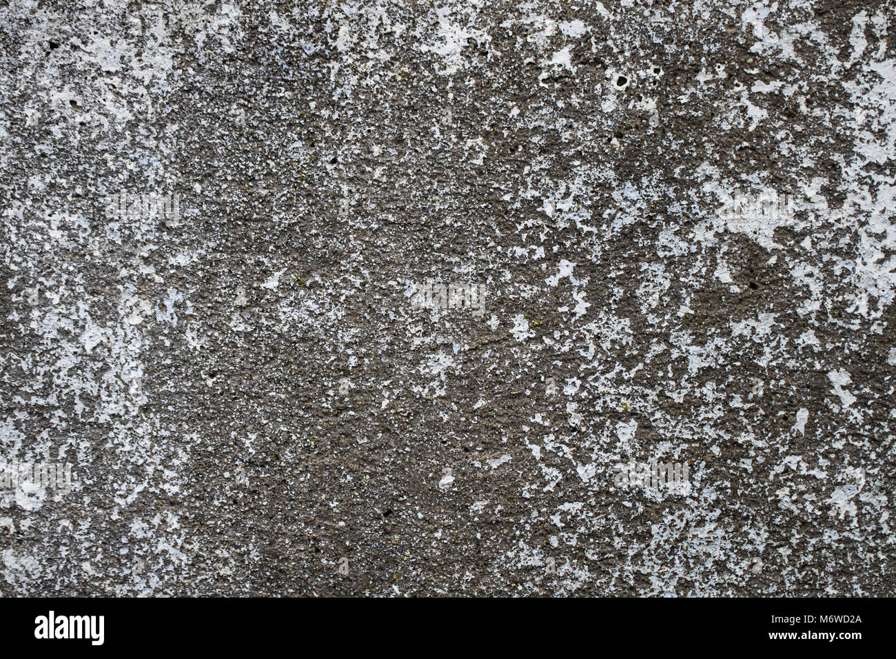 Old dirty texture, grey wall background. Cemen Stock Photo - Alamy