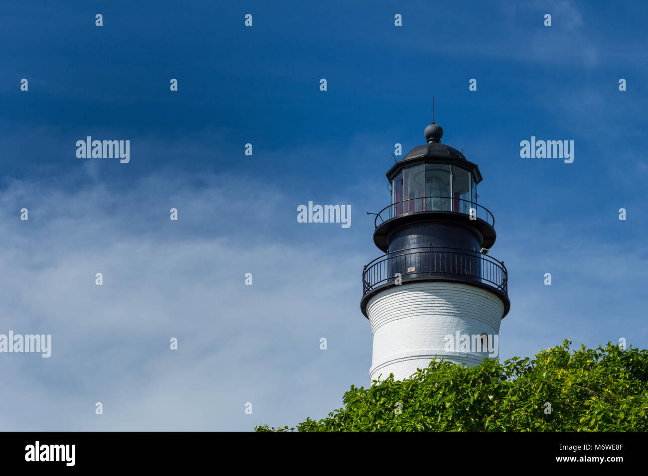 USA, Florida, Ancient lighthouse behind green leaves of a tree Stock ...