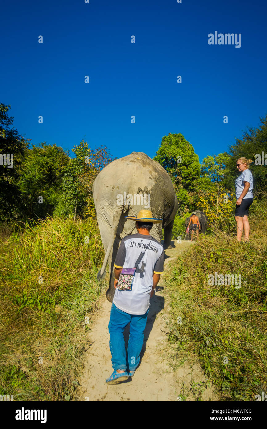 Man bathing in mud hi-res stock photography and images - Alamy