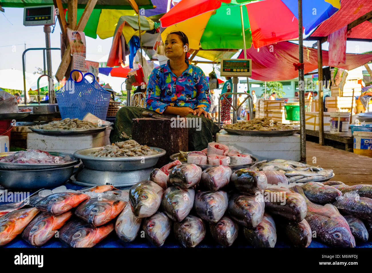 A local farmers woman is selling fresh fish in the street market of ...