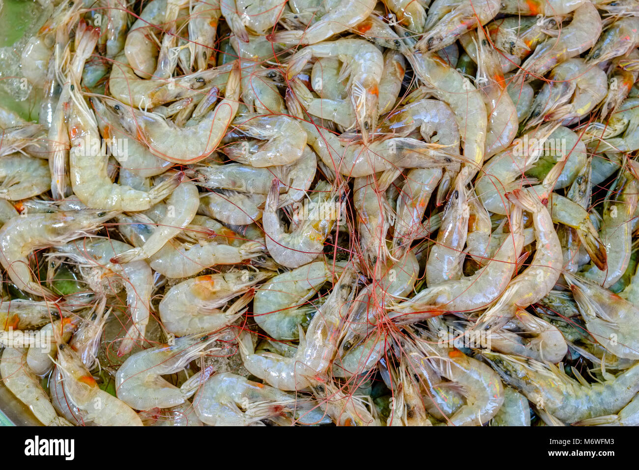 Burmese seafood hi-res stock photography and images - Alamy