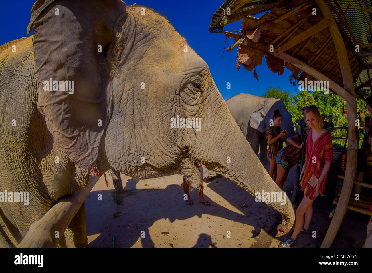 CHIANG RAI, THAILAND - FEBRUARY 01, 2018: Amazing view of unidentified ...