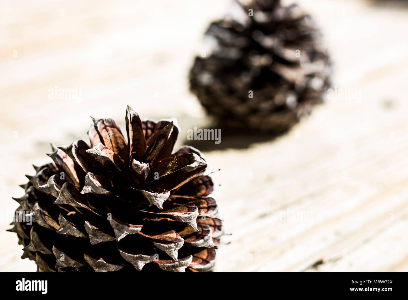 Cone placement hi-res stock photography and images - Alamy