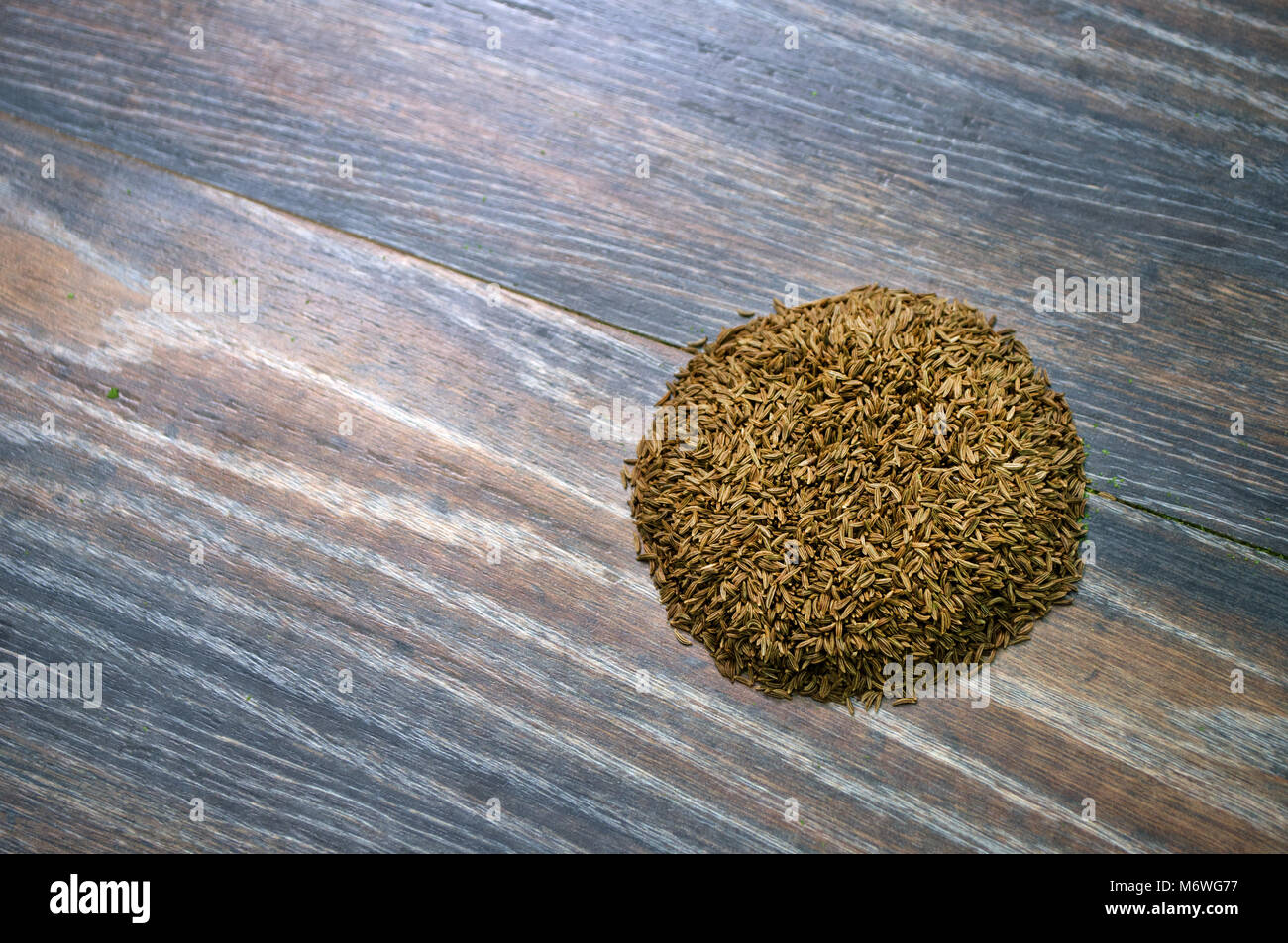 Carum carvi dry hi-res stock photography and images - Alamy