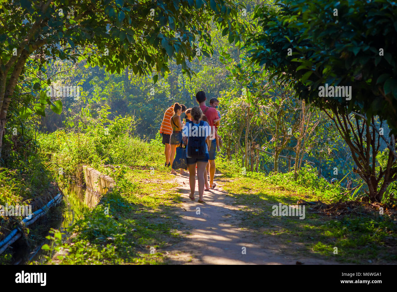 Beautiful outdoor view of a group of tourists walking in the nature ...