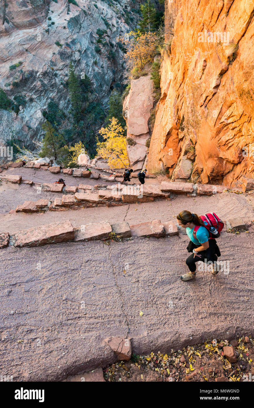 Walters wiggles switchbacks angels landing hi-res stock photography and ...