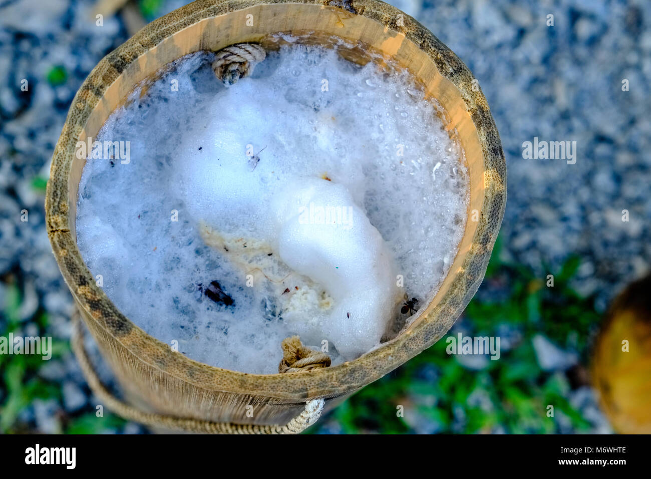 Bamboo container hi-res stock photography and images - Alamy