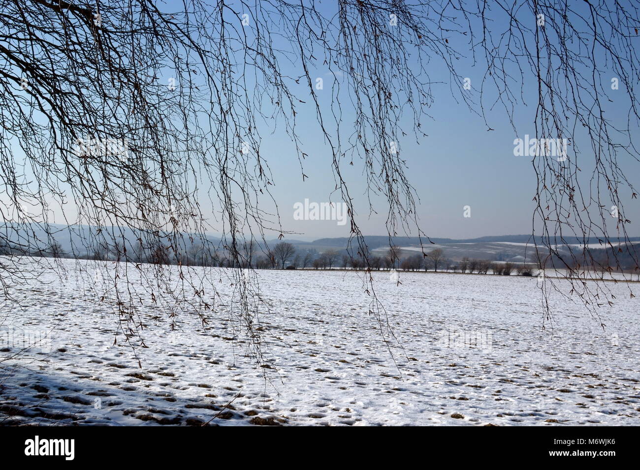 A wintry landscape with trees and blue sky. Winter wonderland in ...