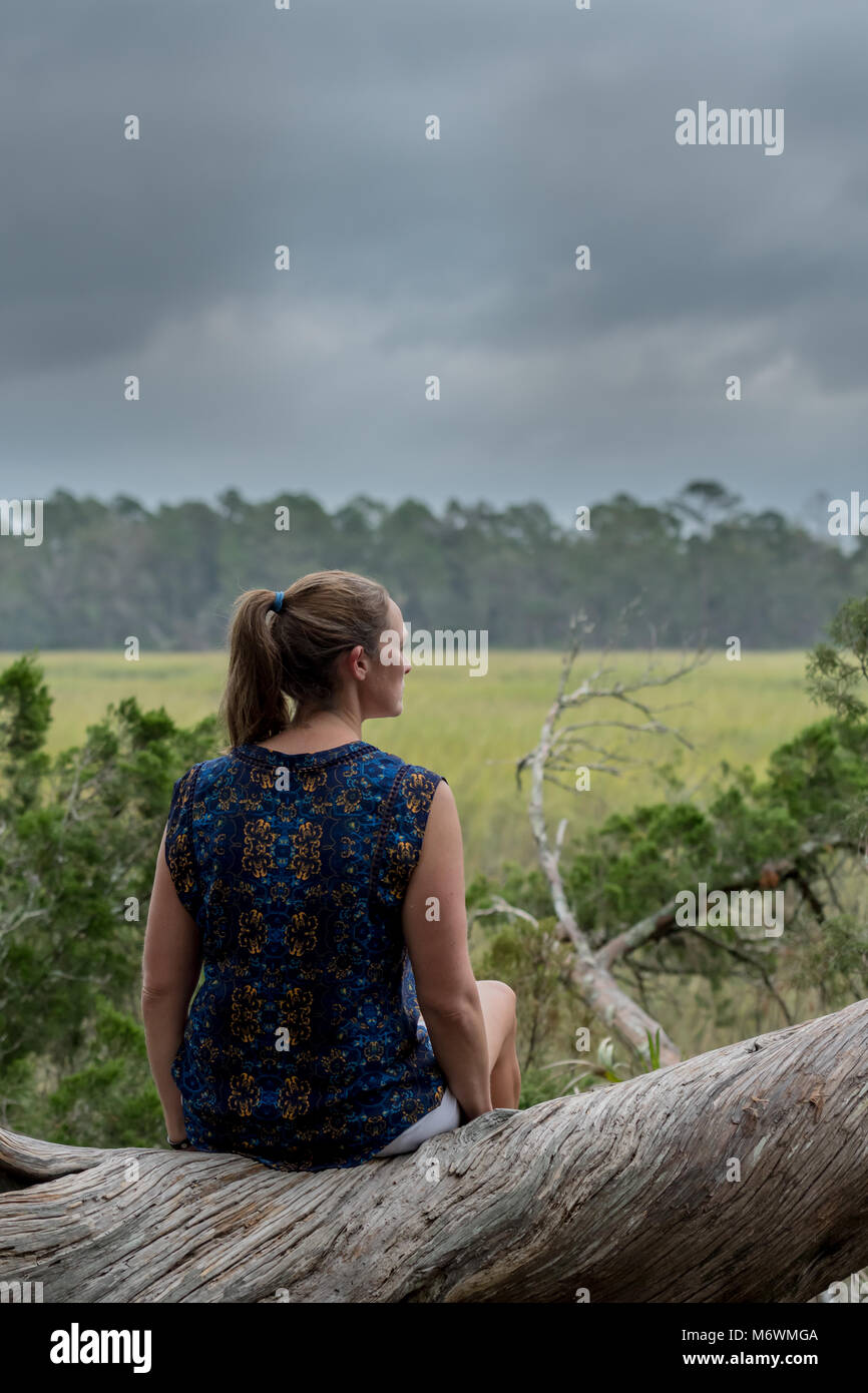 Woman Looks Out Over Grassy Marsh from perch on tree trunk Stock Photo ...