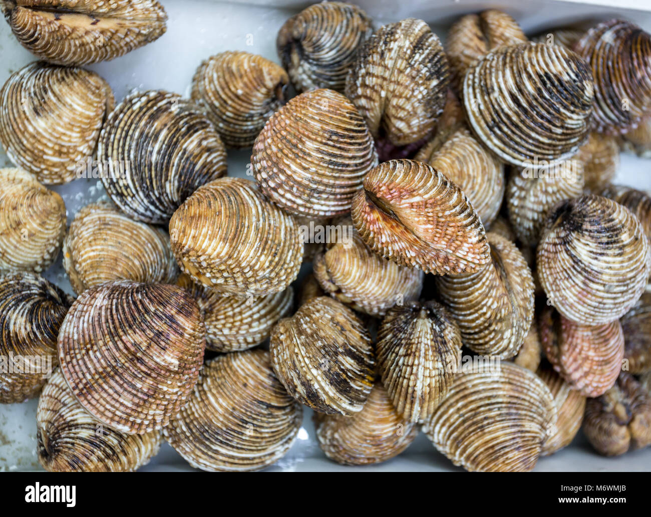 Shell fish market hi-res stock photography and images - Alamy
