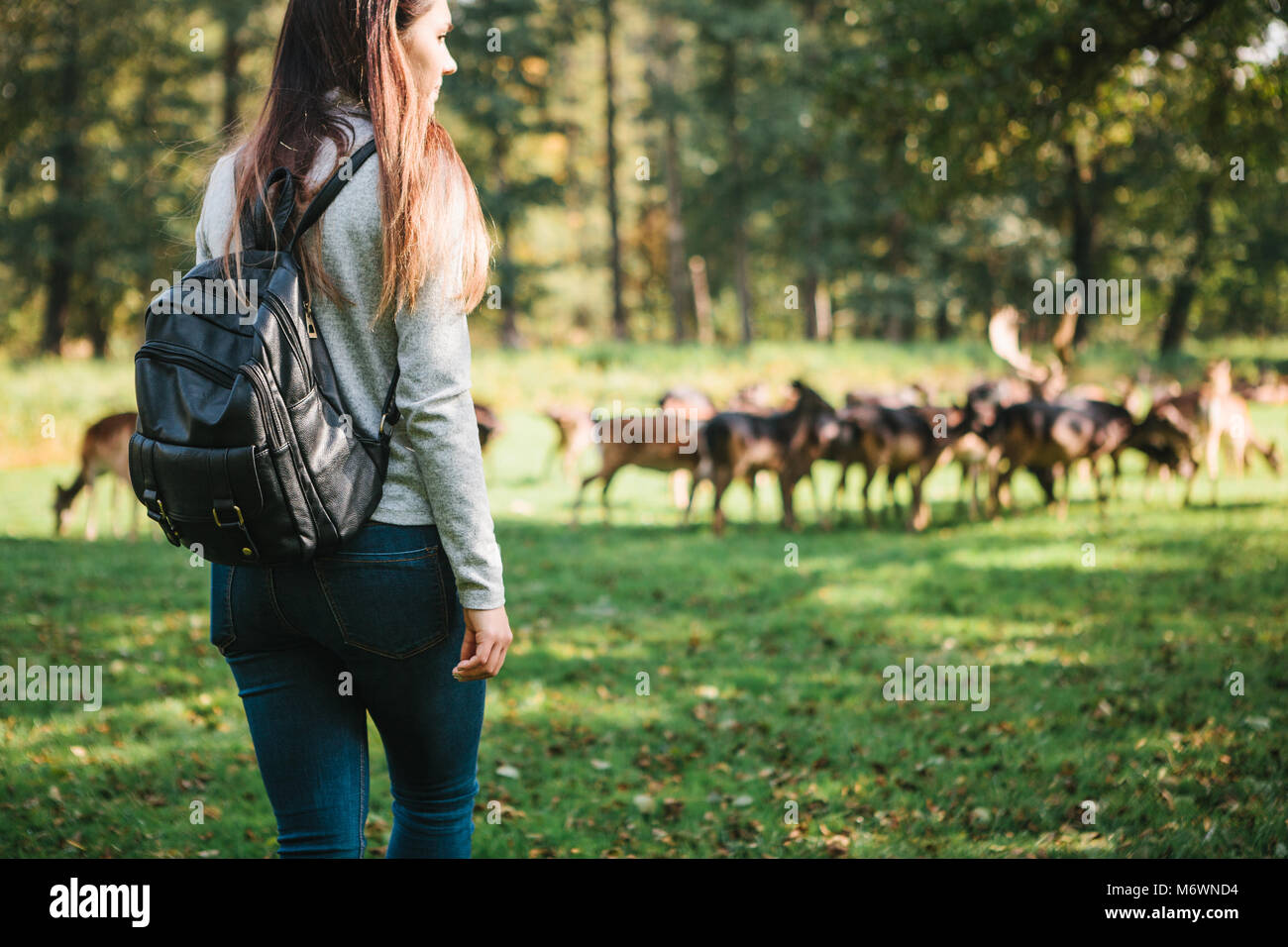 Young beautiful travel girl with backpack looking at wild reindeer ...