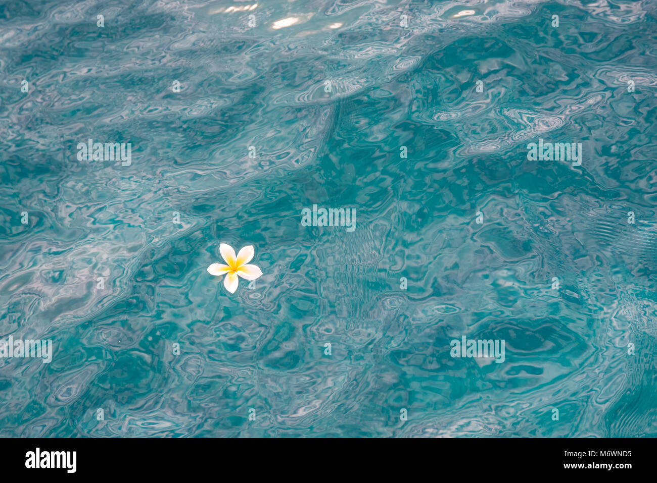 Ocean textures from Hawaii Stock Photo - Alamy