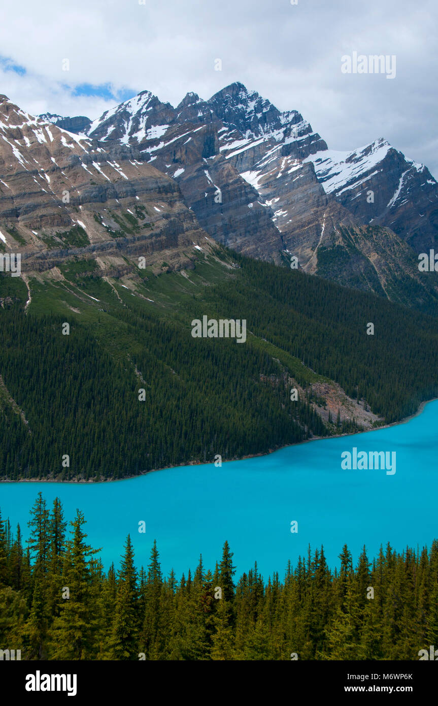 Patterson trail hi-res stock photography and images - Alamy