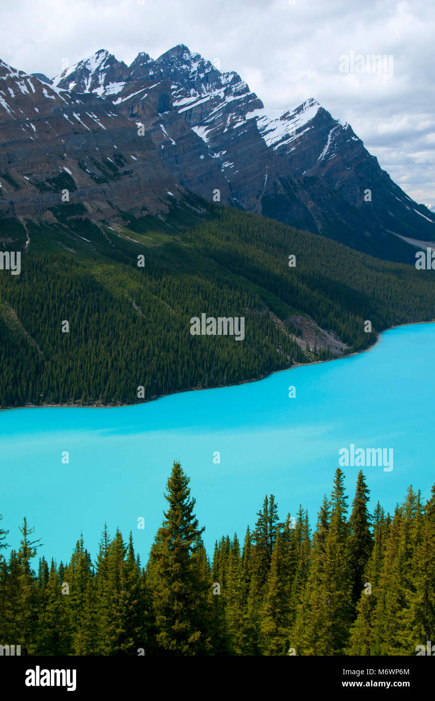 Peyto Lake with Caldron Peak & Mt Patterson, Banff National Park ...
