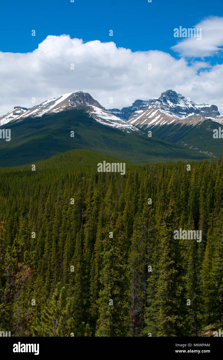 Howse river viewpoint hi-res stock photography and images - Alamy