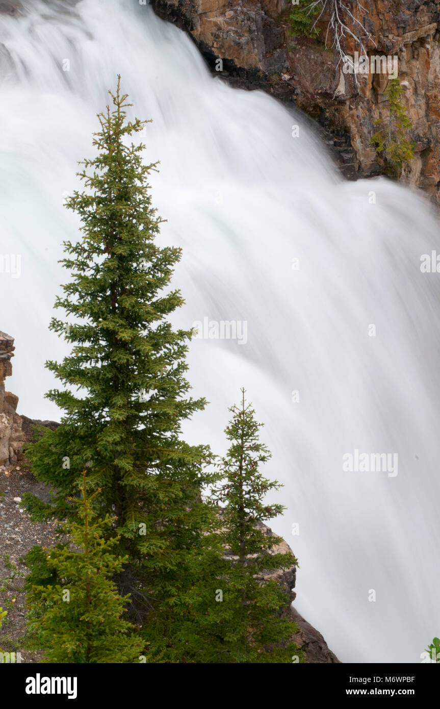 Nigel falls banff national park hi-res stock photography and images - Alamy
