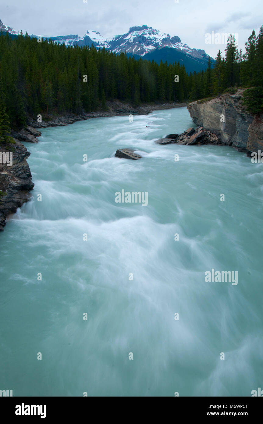 North Saskatchewan River from Glacier Lake Trail, Banff National Park ...