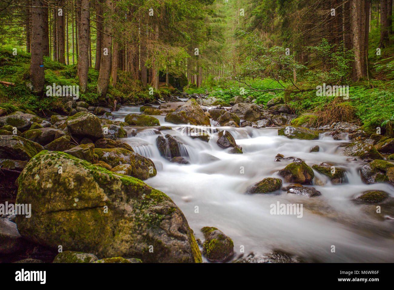 Water Flowing Around Stones Stock Photos & Water Flowing Around Stones ...