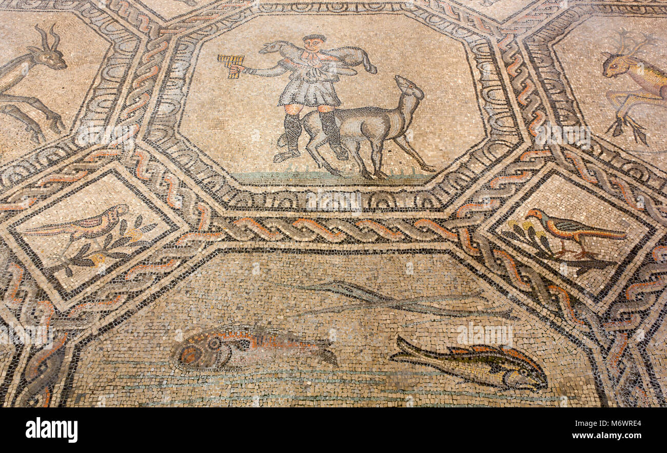 Ancient Floor Mosaic in the Basilica of Aquileia, Italy Stock Photo - Alamy