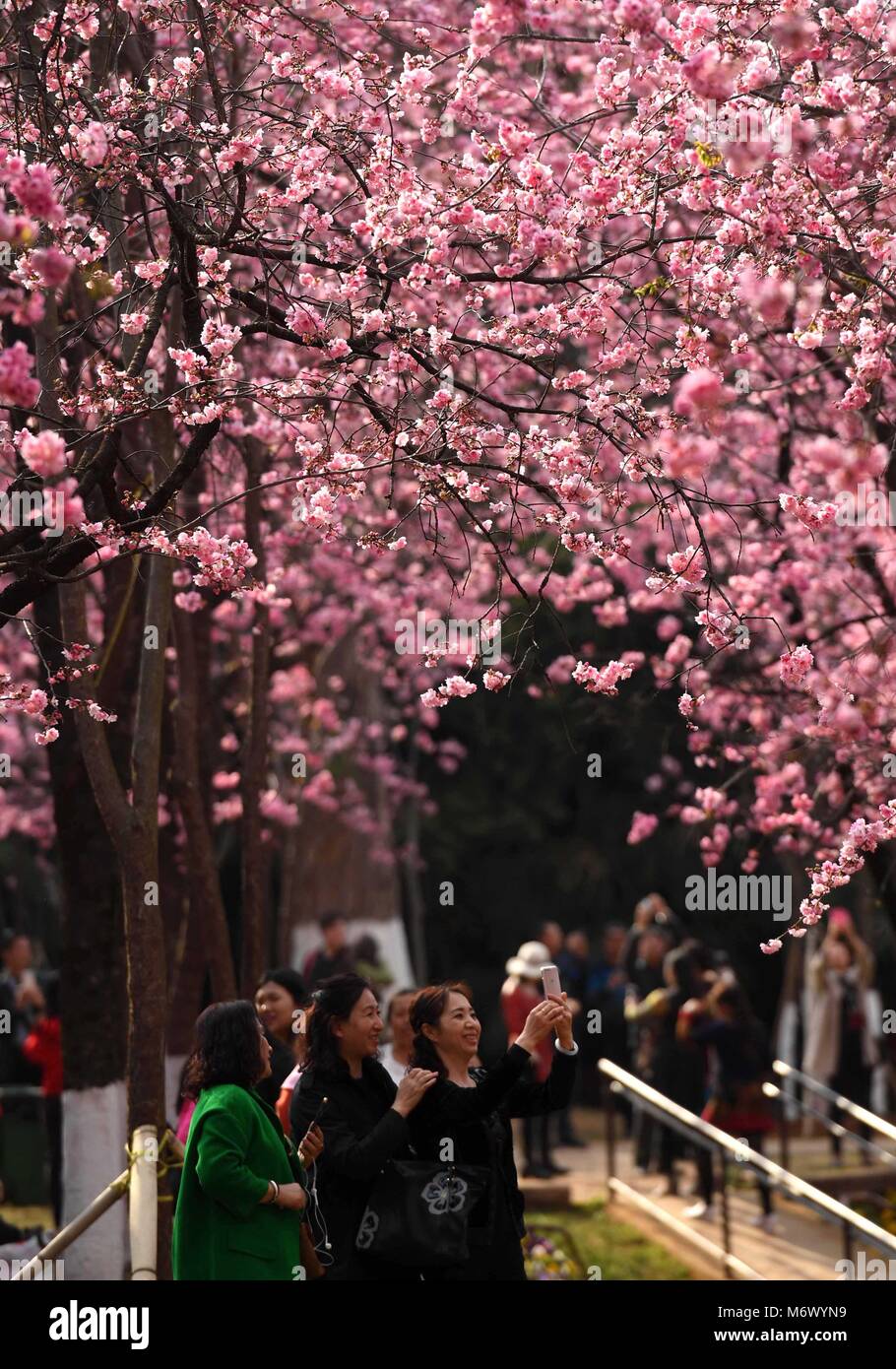 Kunming, China's Yunnan Province. 6th Mar, 2018. Tourists take photos ...