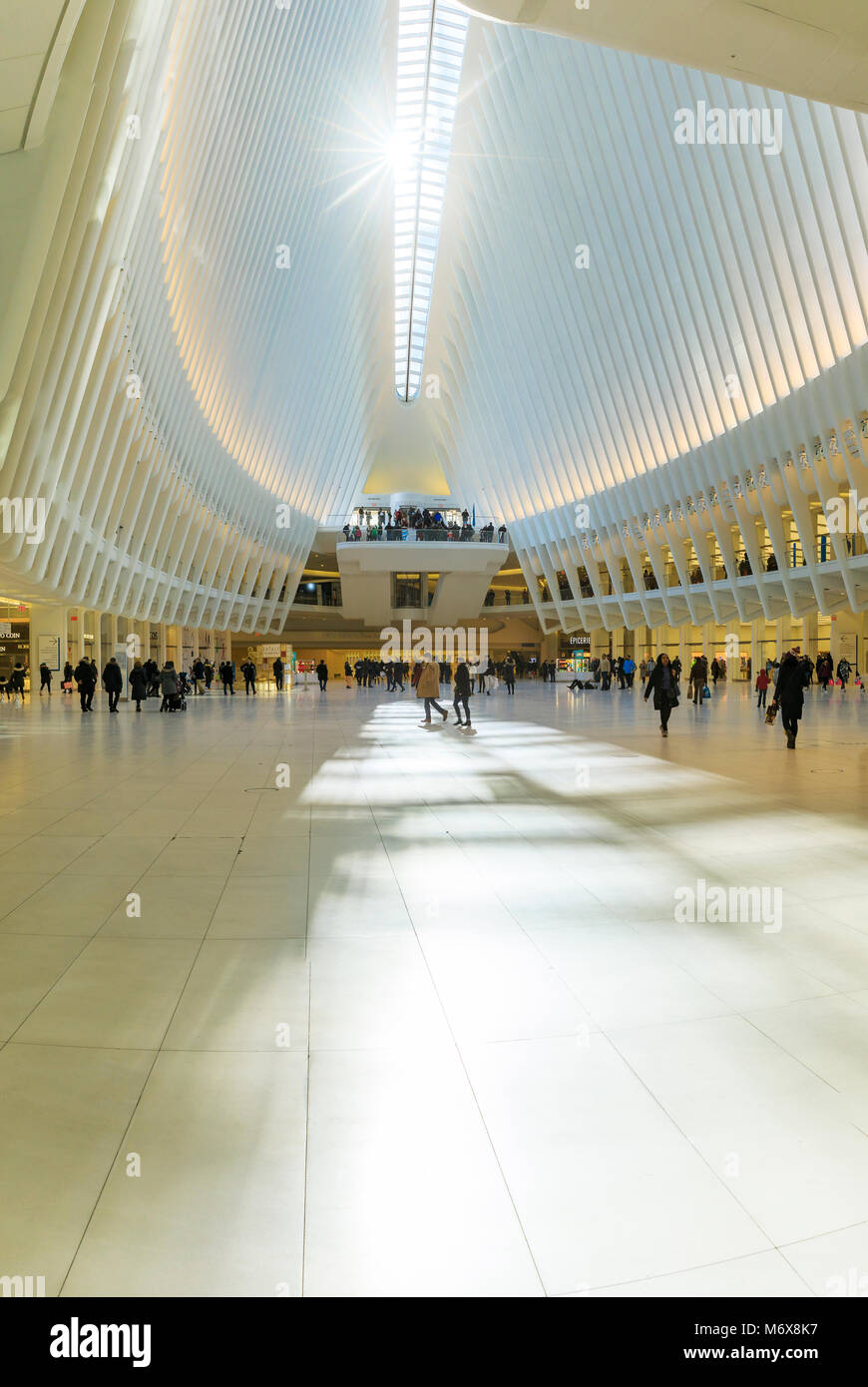 Oculus World Trade Center Transportation hub and One Freedom Tower ...