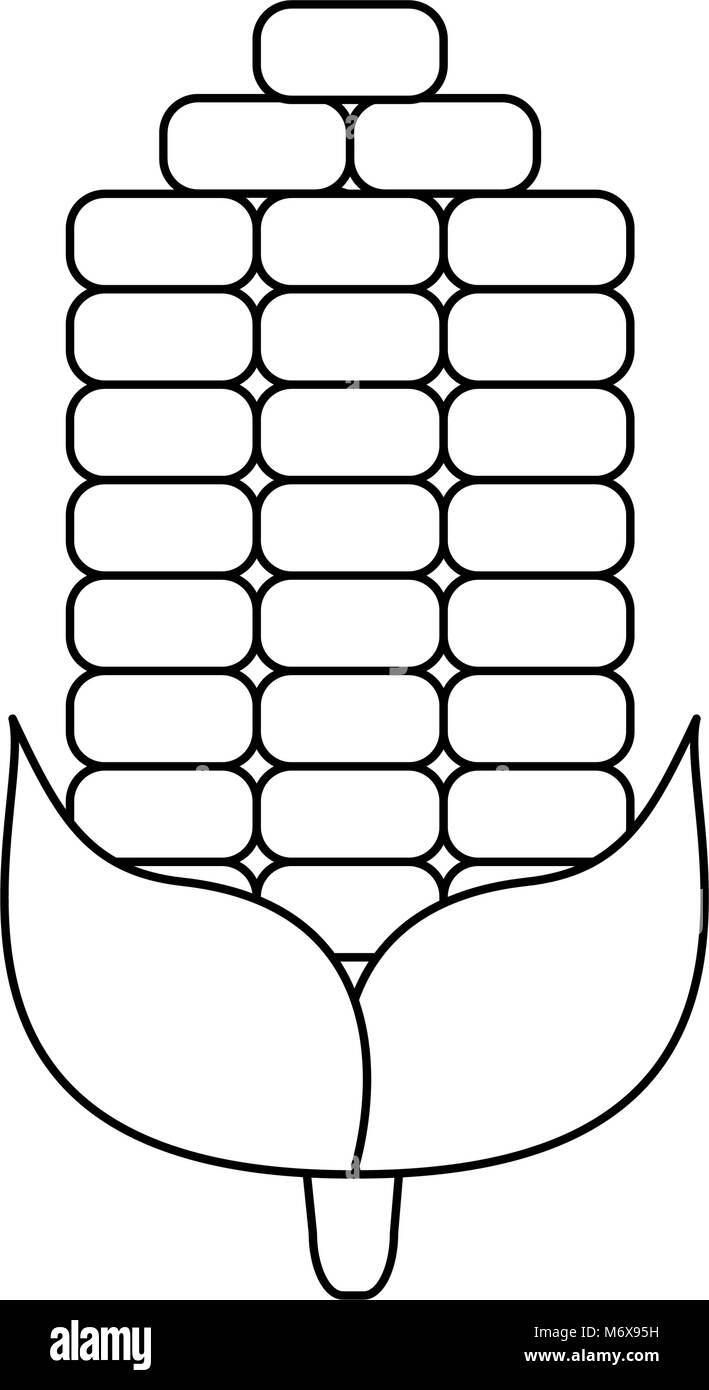 Corn vegetable isolated vector illustration graphic design Stock Vector ...