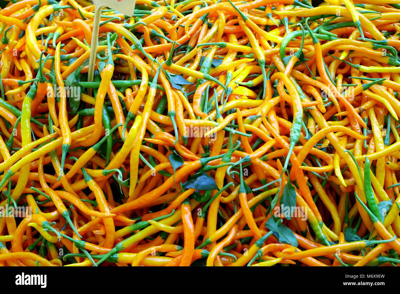 Orange colour chillies hi-res stock photography and images - Alamy