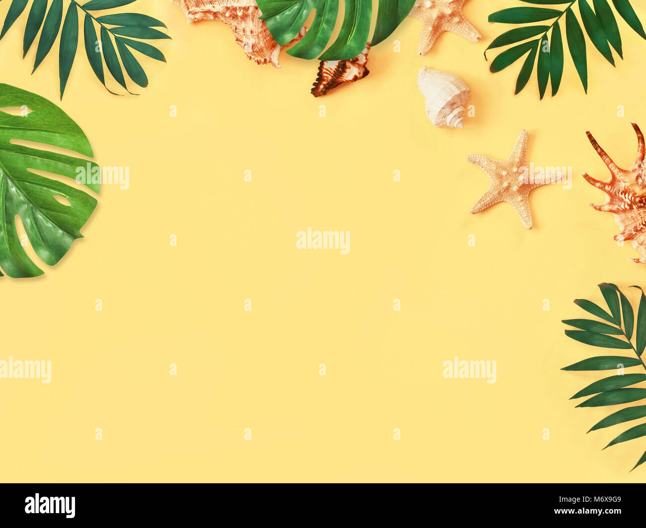 Tropical Background. Palm Trees Branches with starfish and seashell on ...
