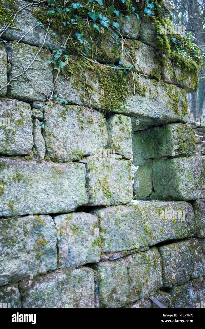 The ruins of an old stone watermill on Dartmoor, United Kingdom. The ...