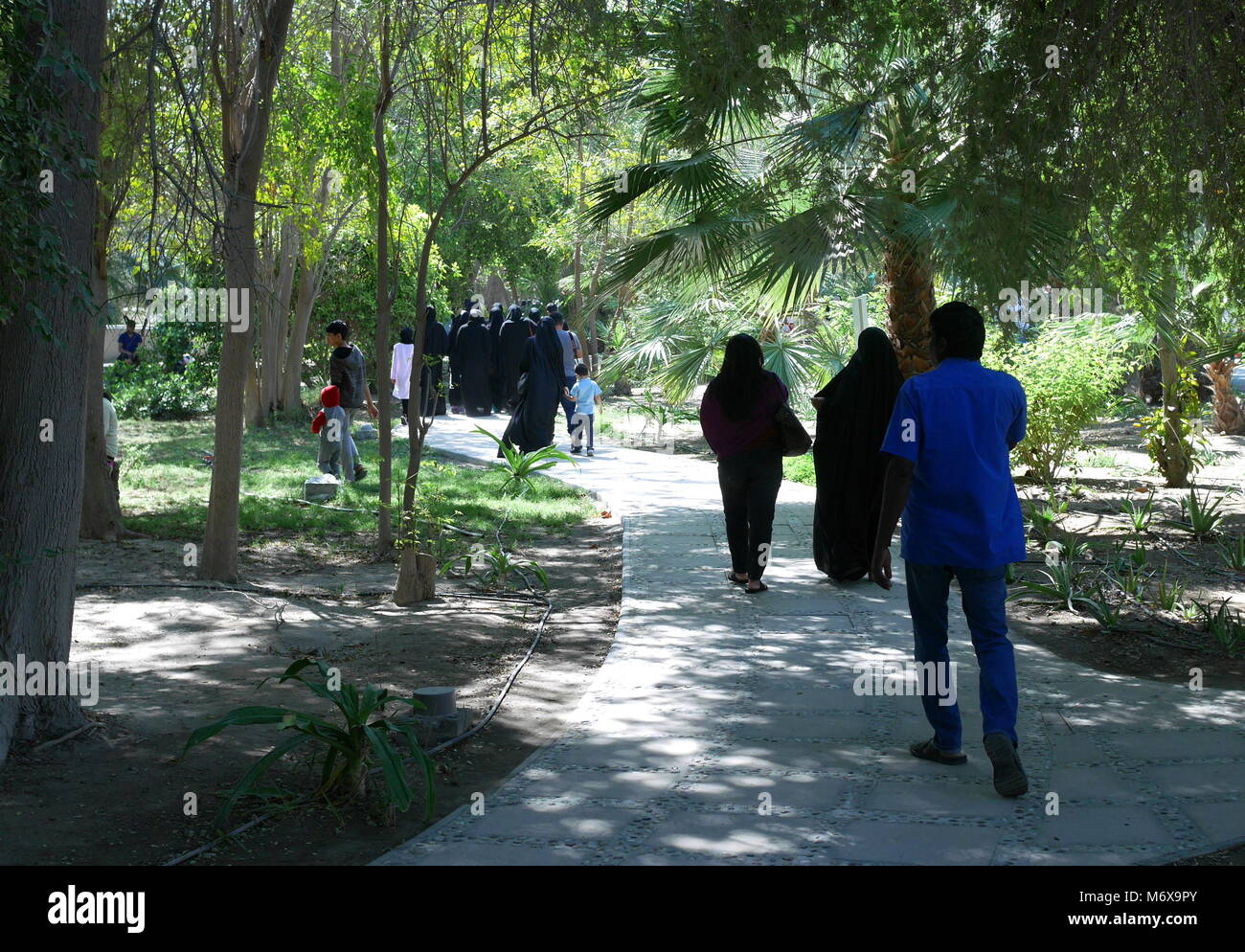 Budaiya botanical gardens bahrain hi-res stock photography and images ...