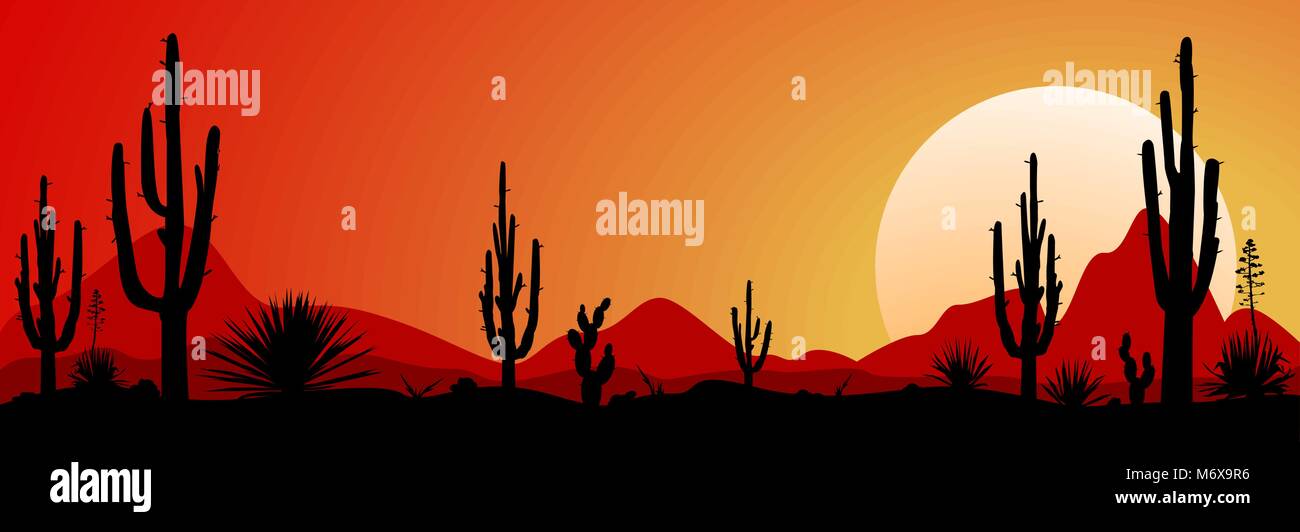 Mexico Landscape Sunset