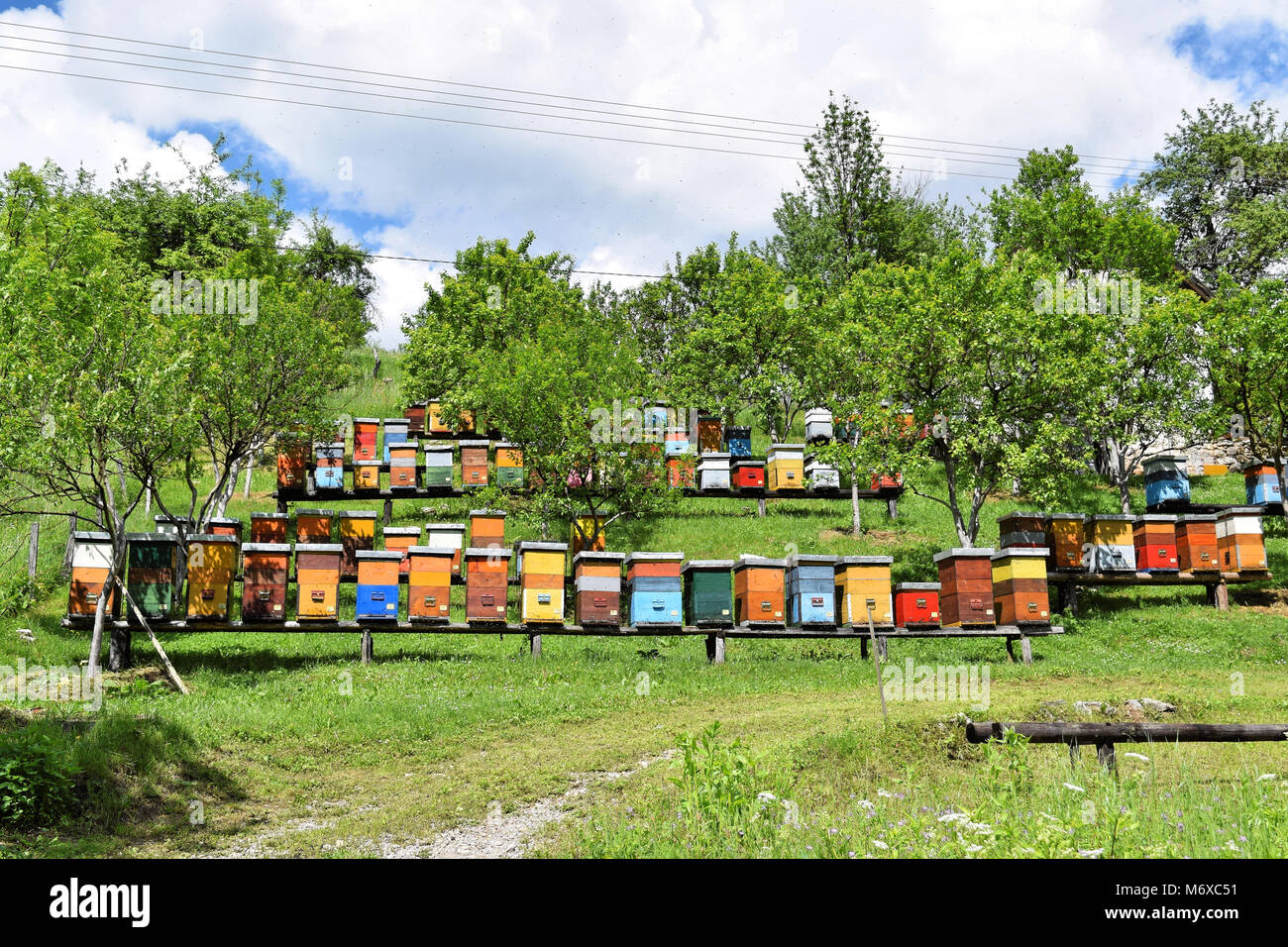 Beekeeping in European countryside Stock Photo - Alamy
