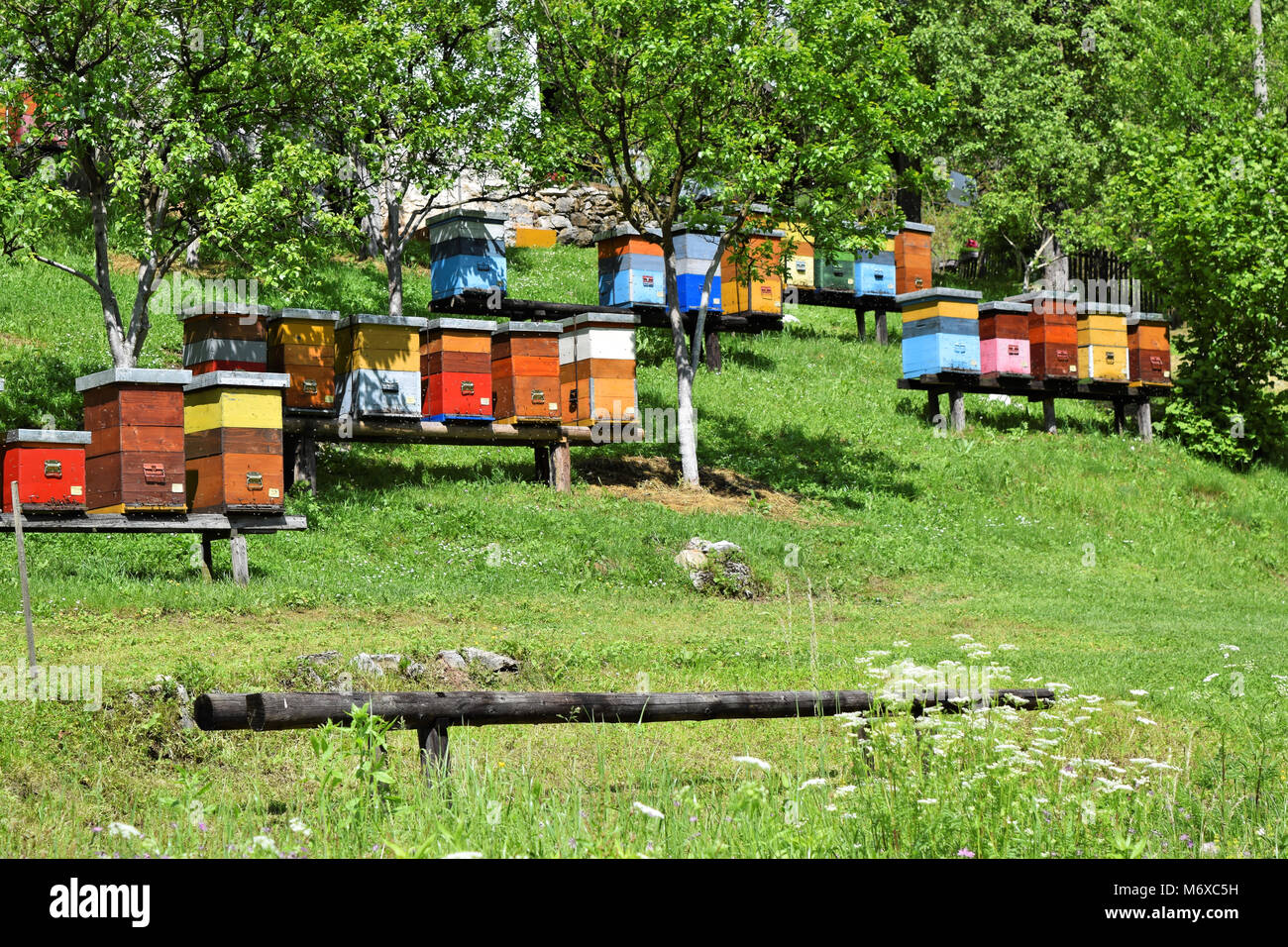 Alternative Apiary Apiculture High Resolution Stock Photography and ...