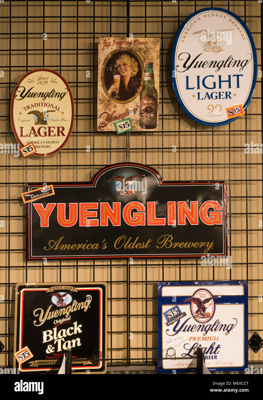 Yuengling Bock