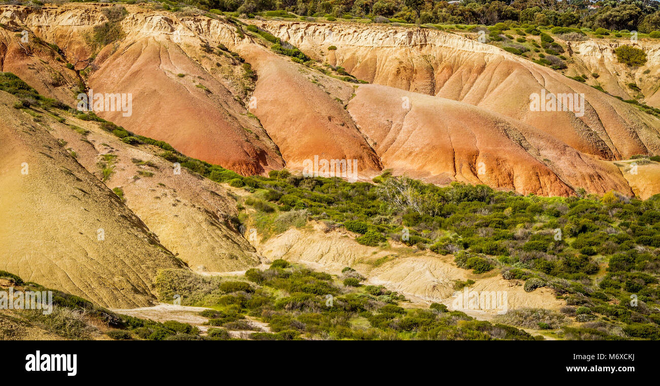 Beautiful geological features of Hallet Cove Conservation park ...
