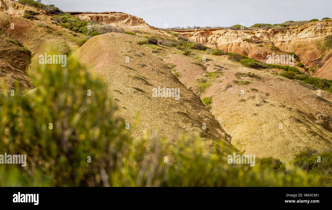 Beautiful geological features of Hallet Cove Conservation park ...