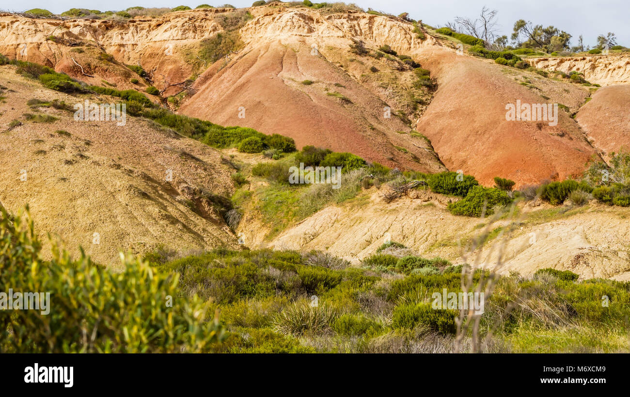 Beautiful geological features of Hallet Cove Conservation park ...