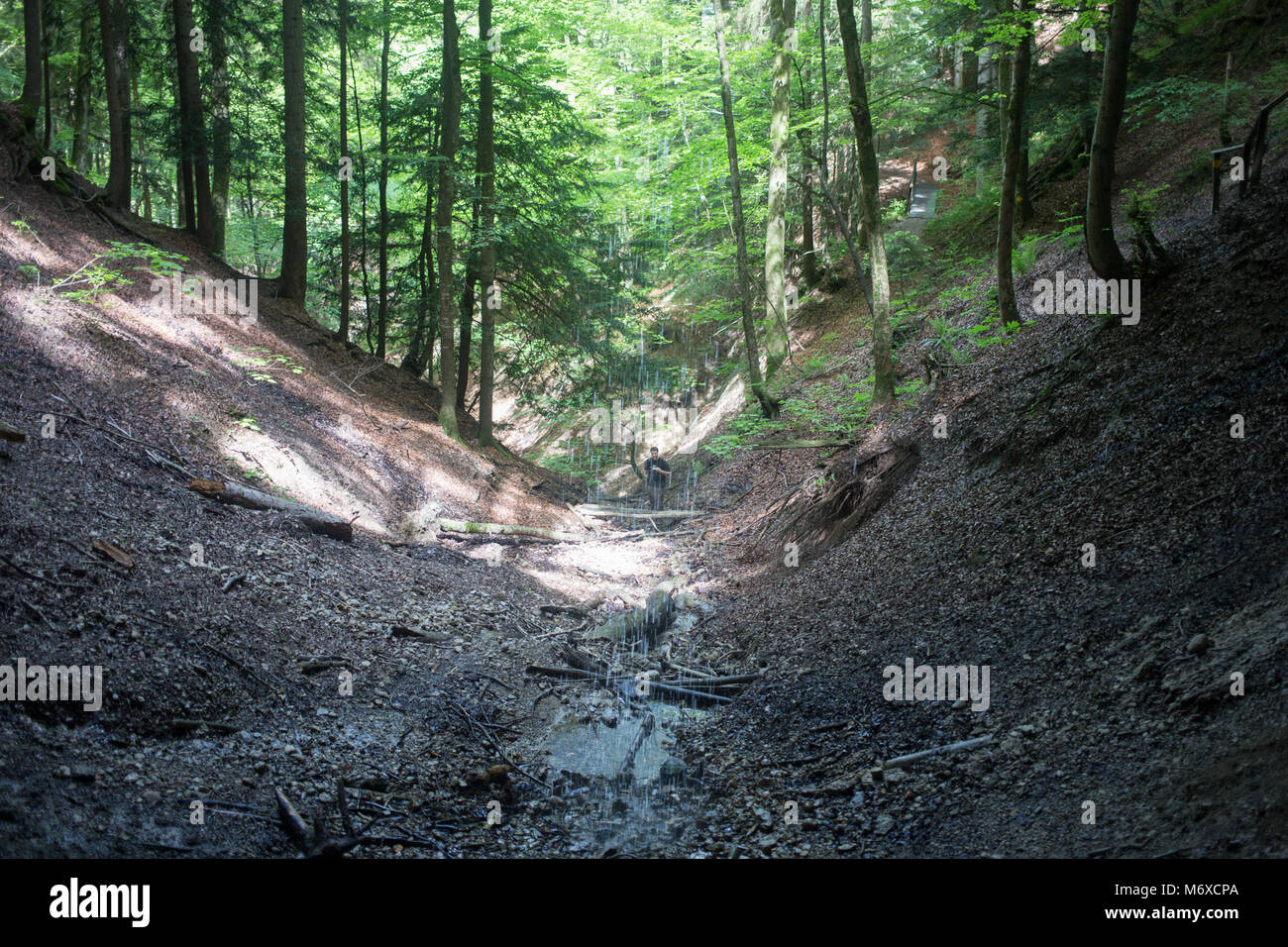 Switzerland canton zurich landscape hi-res stock photography and images ...