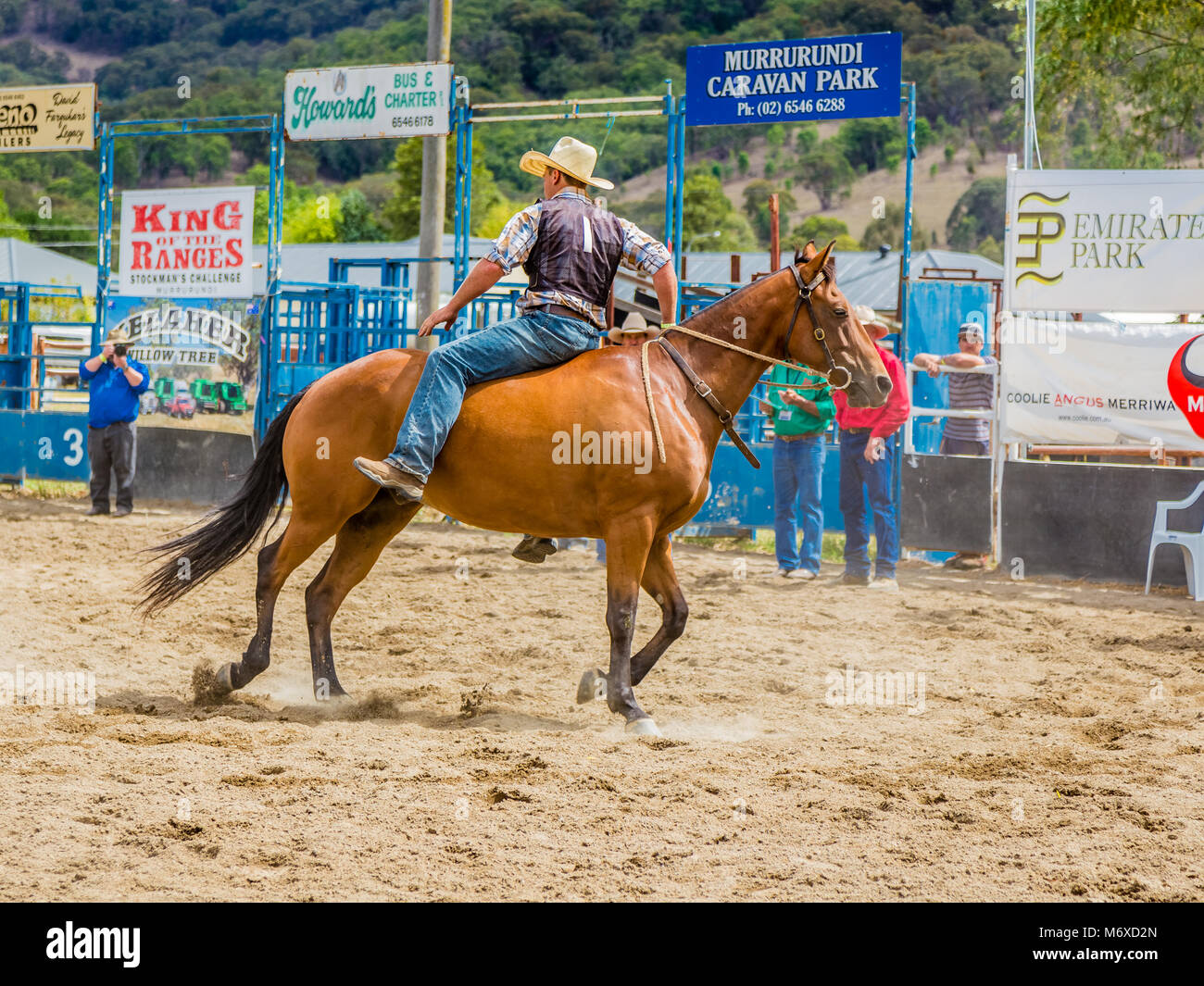 Backwards horse hi-res stock photography and images - Alamy