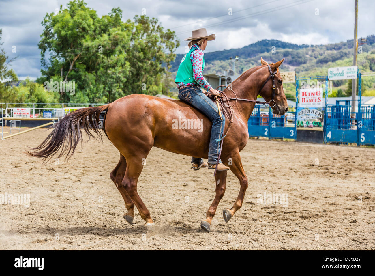 Woman demonstrating her skill in a bare-back riding competition Stock ...